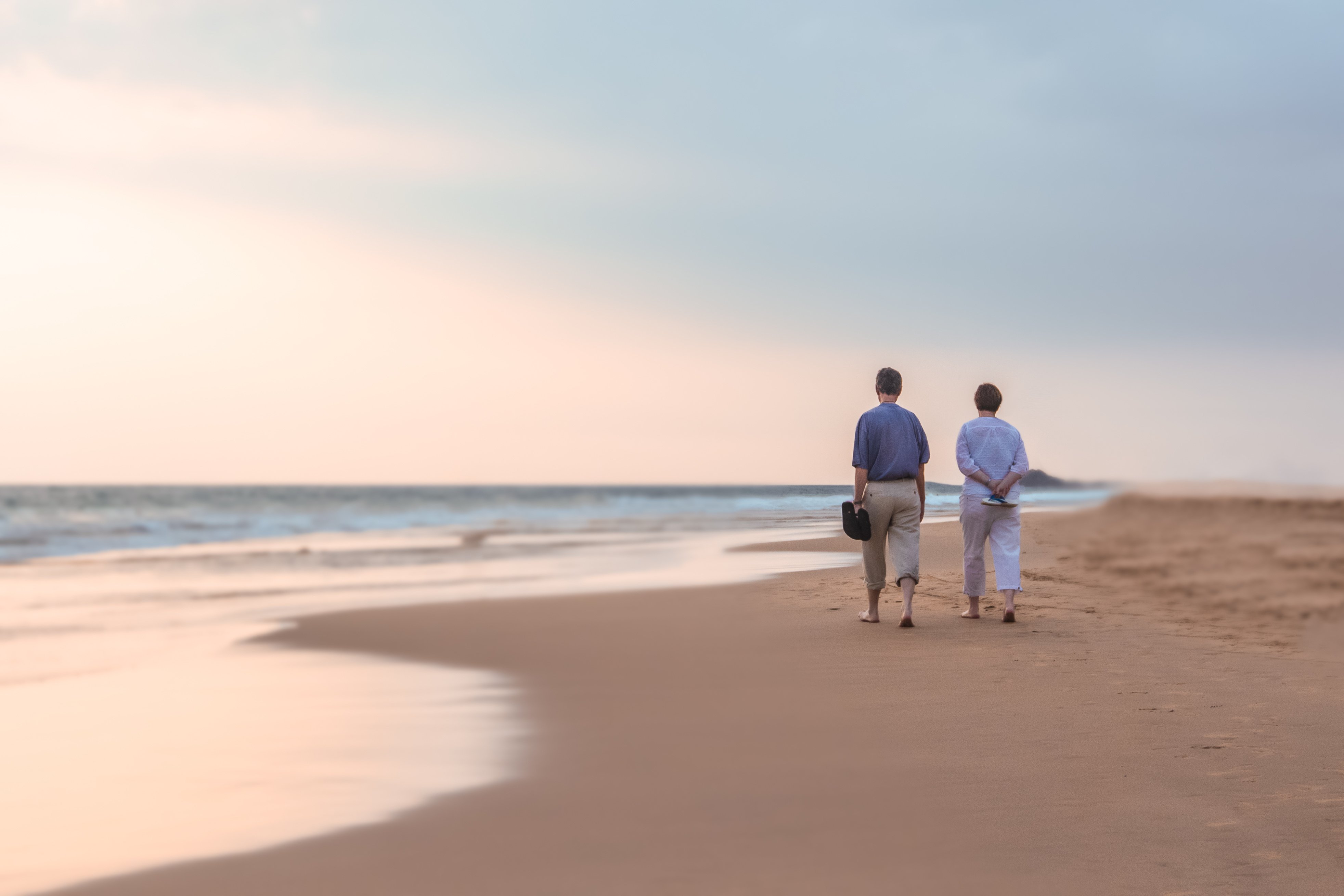 EIS loss relief: what it is and how to claim it | GCV