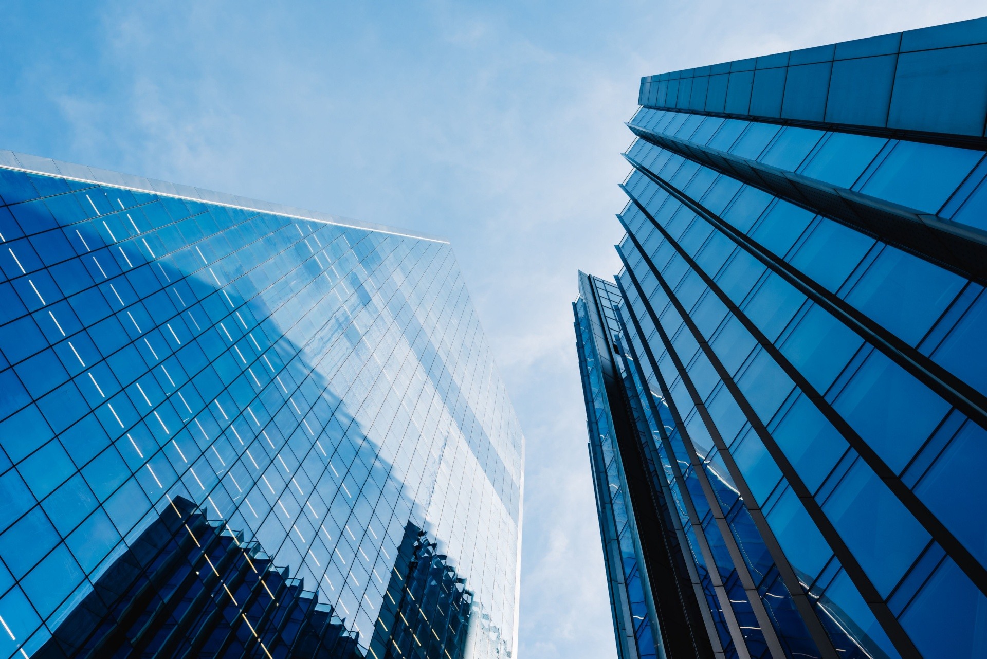 EIS loss relief: what it is and how to claim it | GCV
