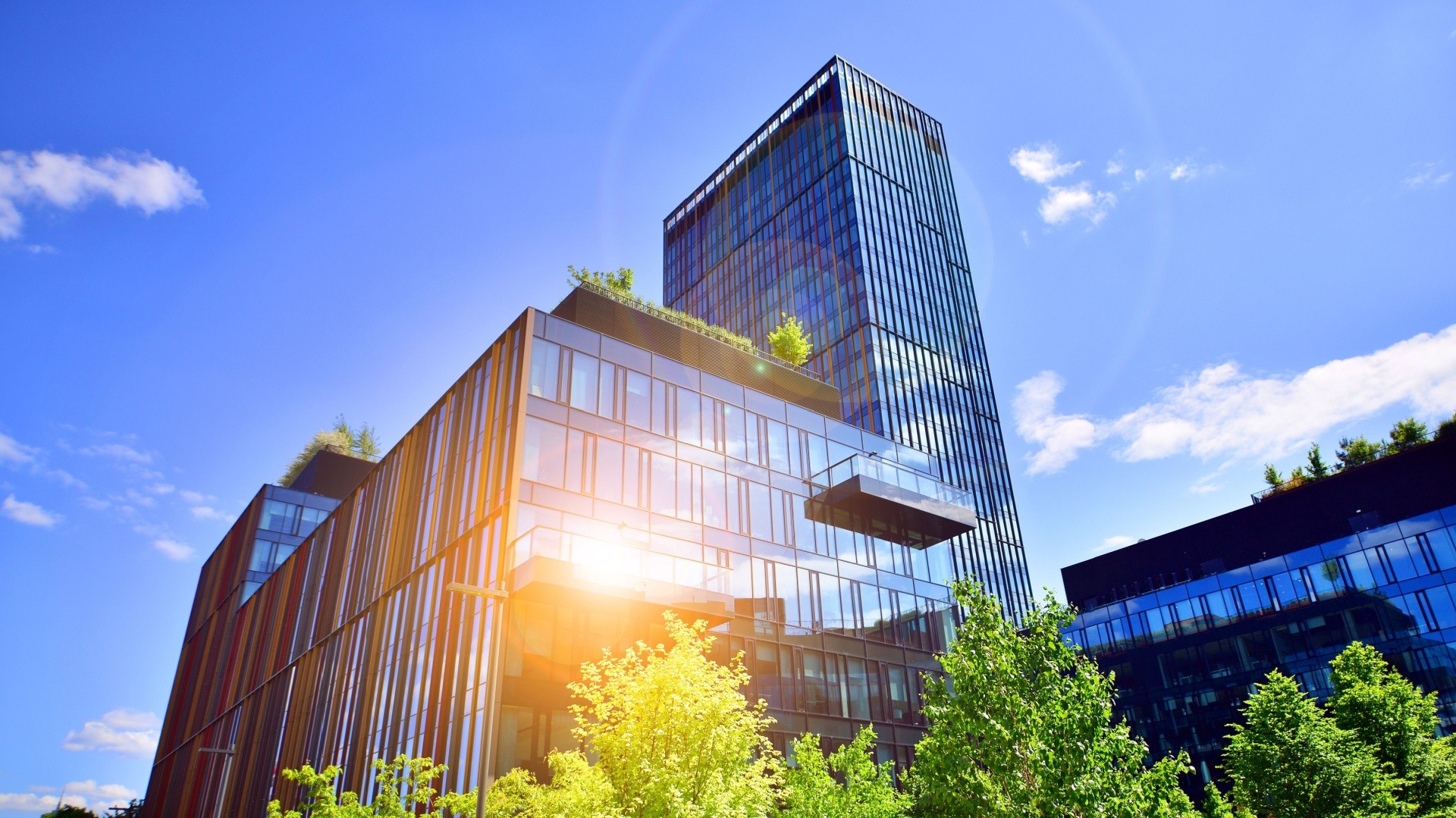 Weekly Briefing: Record IHT, State Pension Tax, HMRC Penalties & Net Zero Boom | GCV